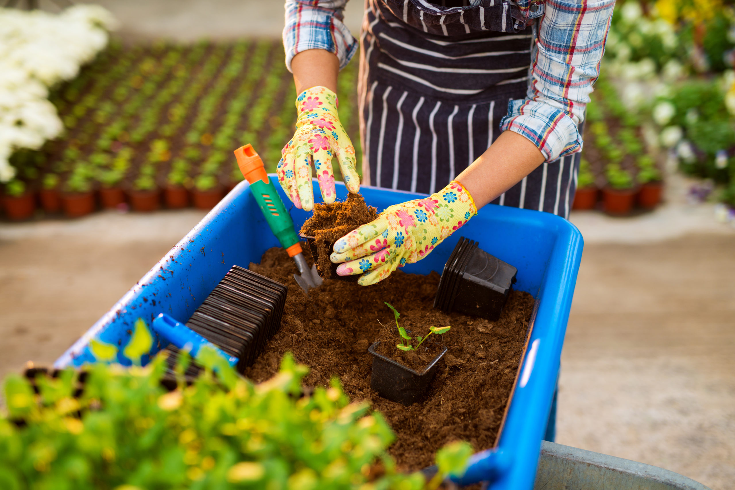 Home-Composting-and-Urban-Gardening-Workshops-scaled.jpg
